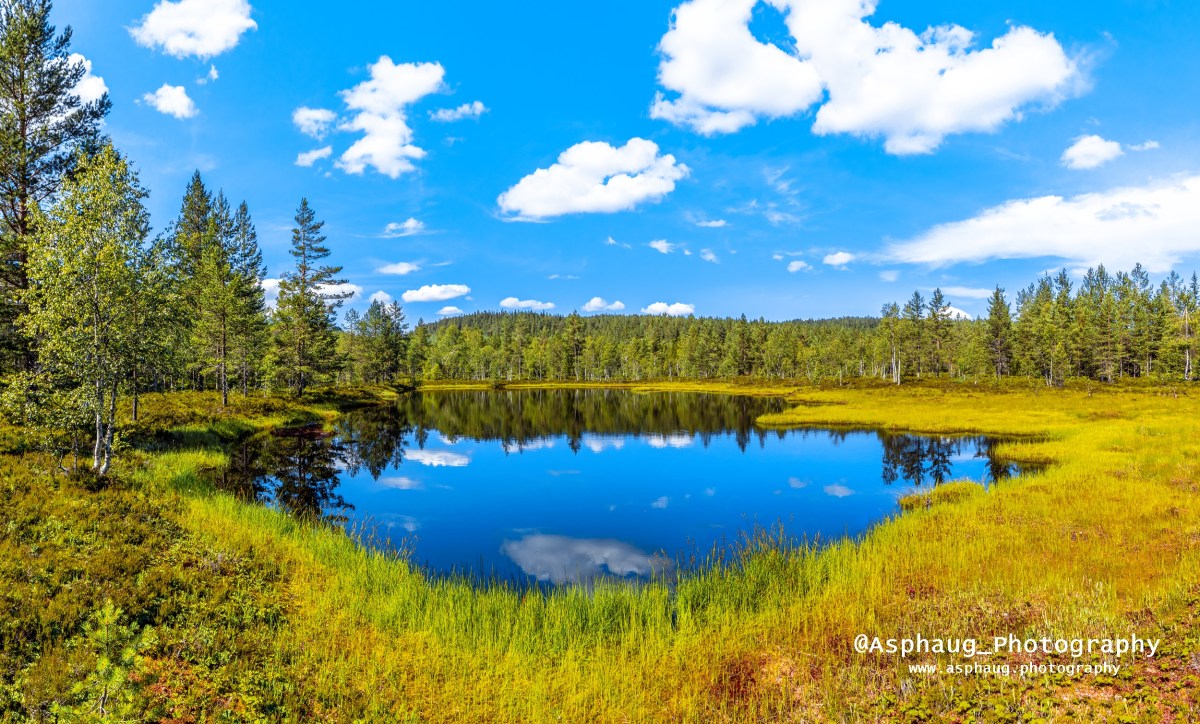 Et lite tjern i skogen – Asphaug.Photography – NorskeKirker.no